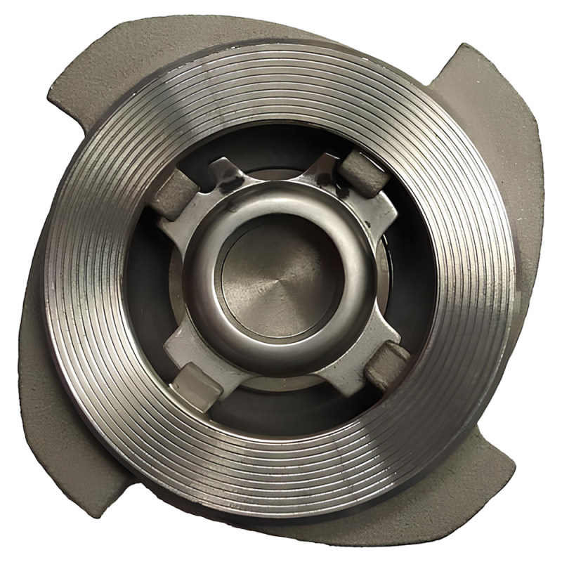 Disc Check Valve Manufacturer & Exporter in India