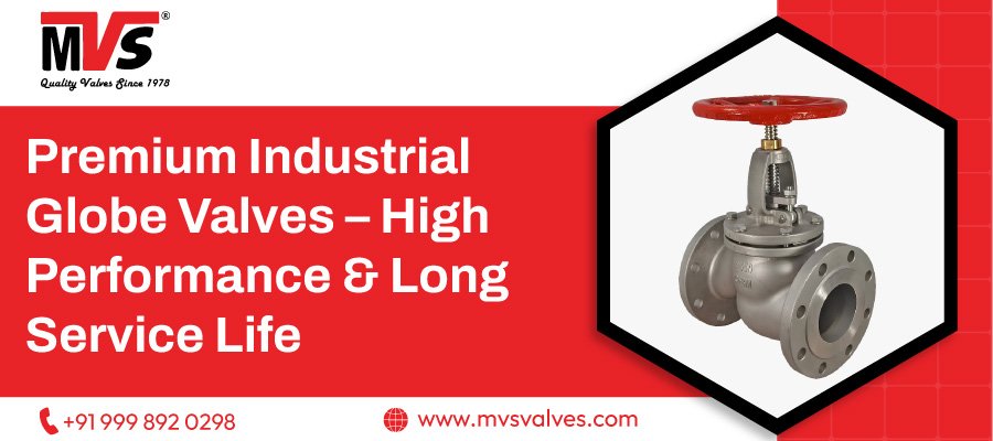 Industrial Globe Valves for Precise Flow