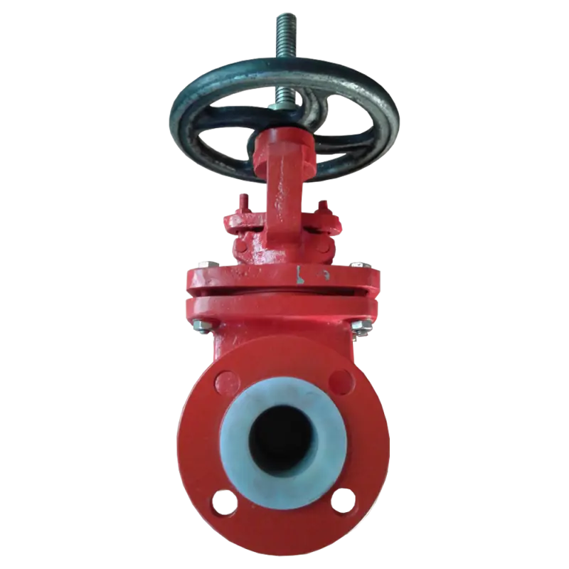PTFE Lined Gate Valve Manufacturer & Exporter in India